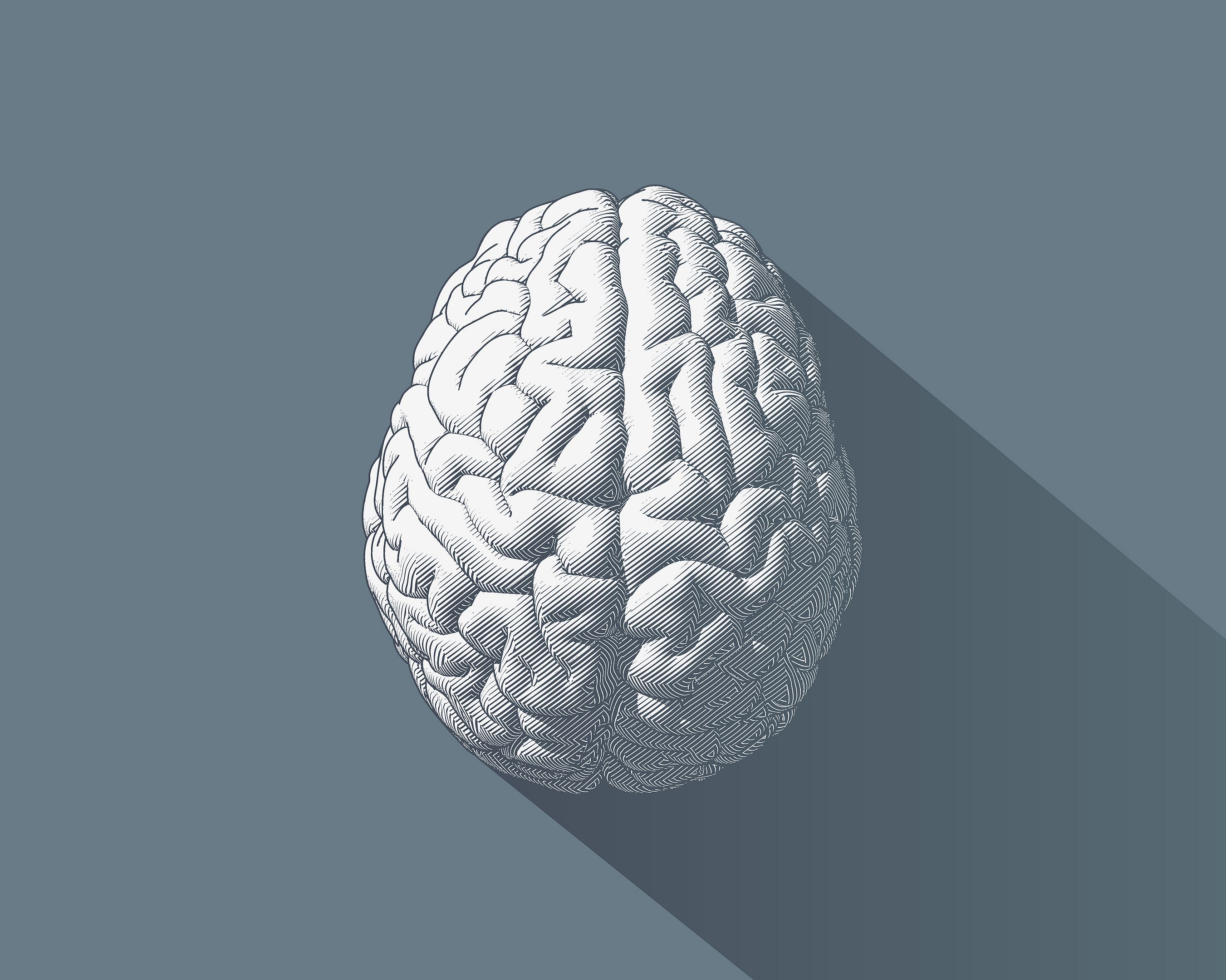 News details | SNF-Sinergia: The Foundations of Successful Financial ...